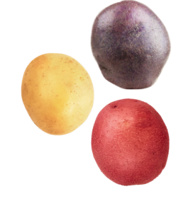 Home - Smarter Potato Company