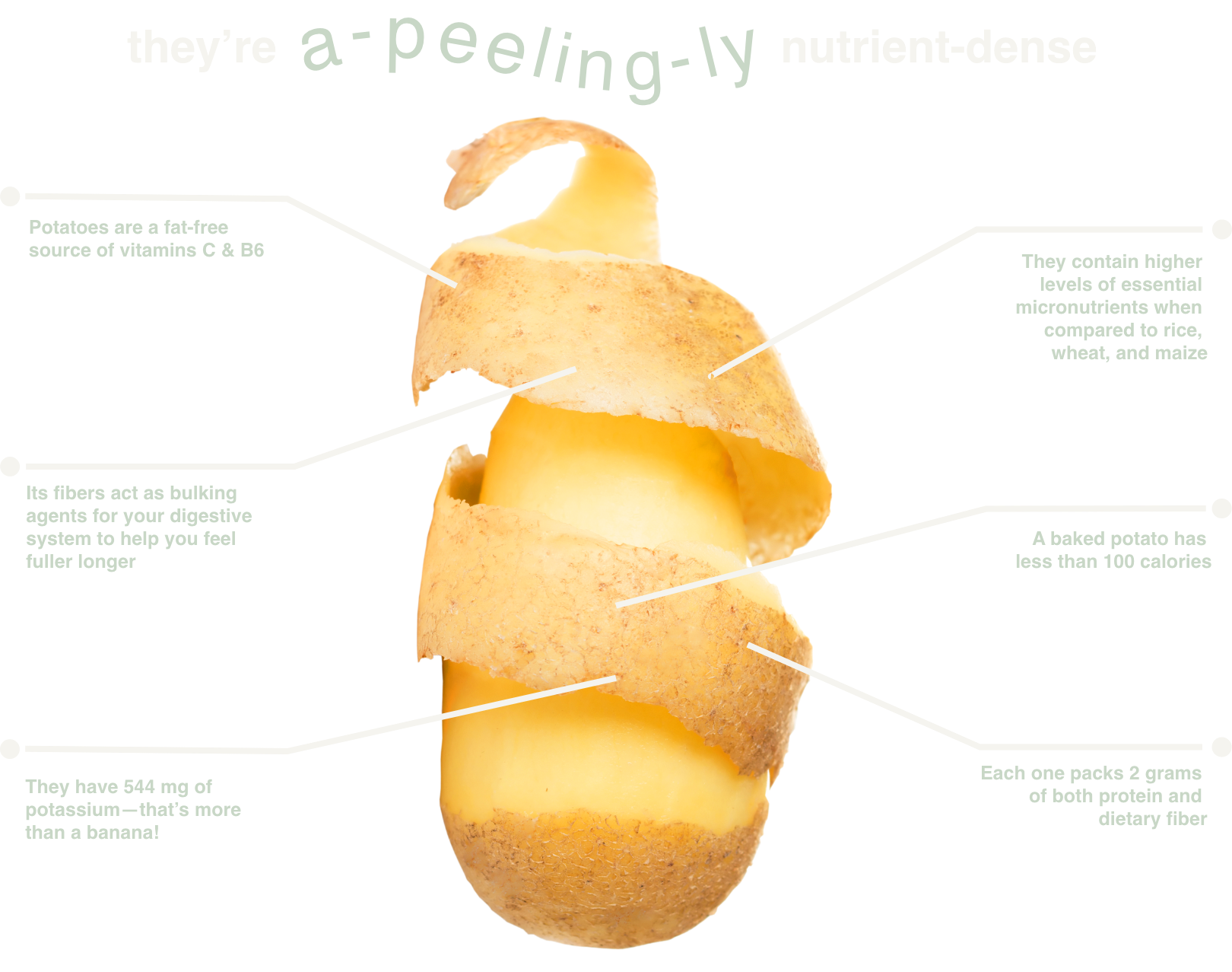 Home - Smarter Potato Company